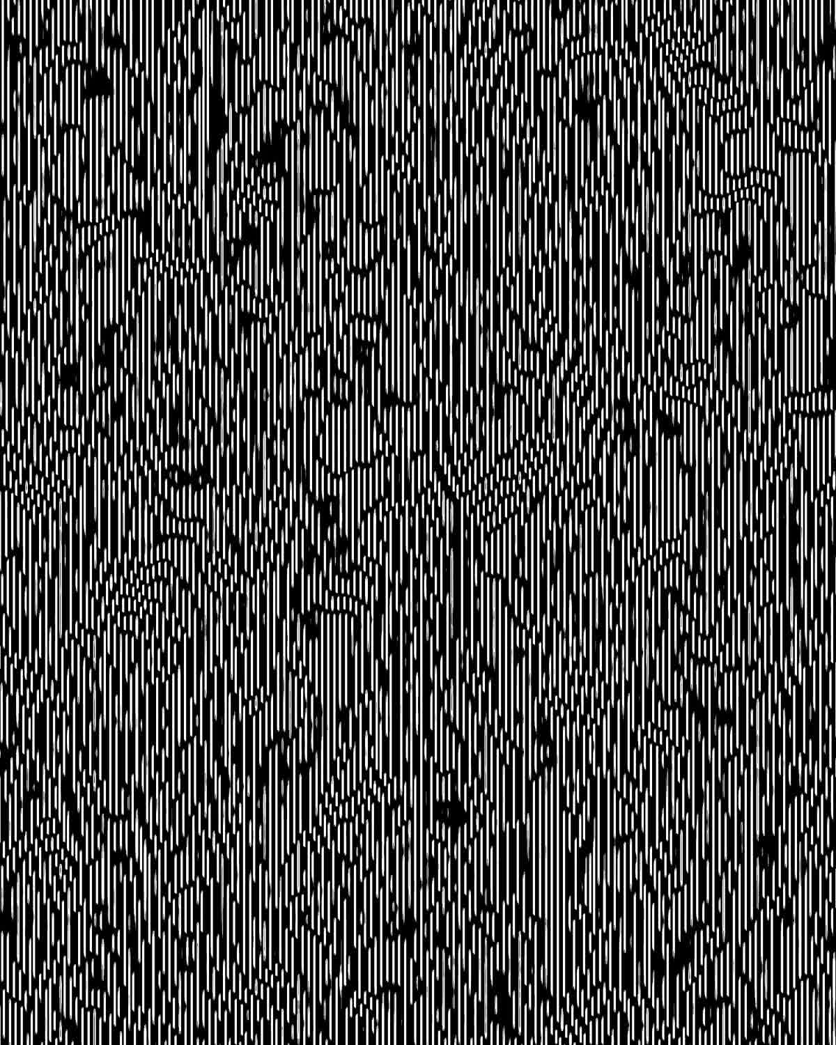 TERRA #8 | Foundation