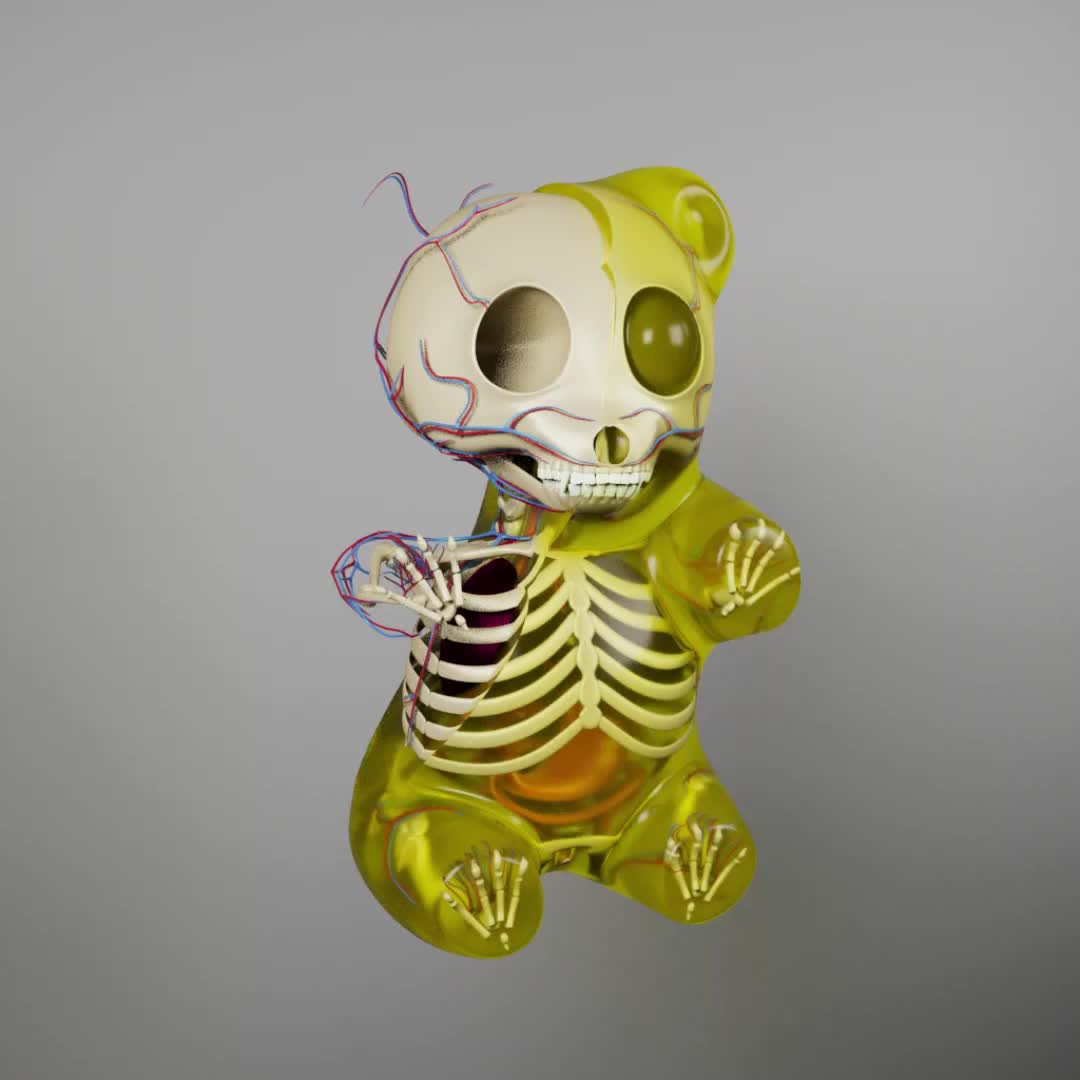 Gummi Bear Anatomy
