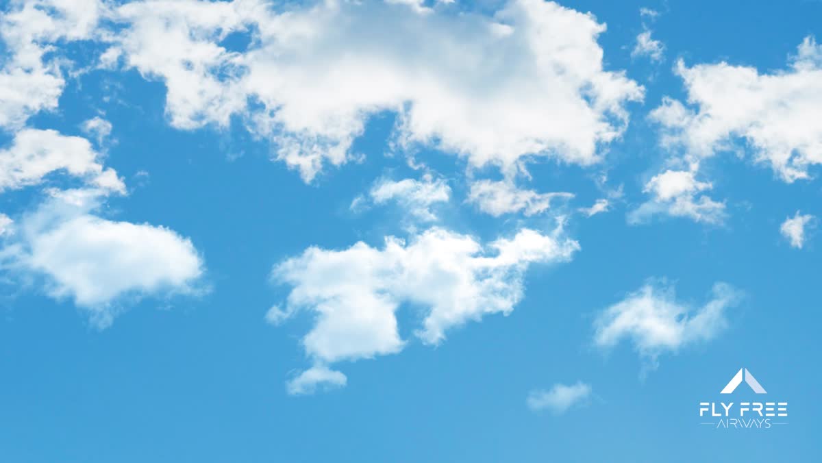 Fly Free Airways NFT-Ticket | Foundation