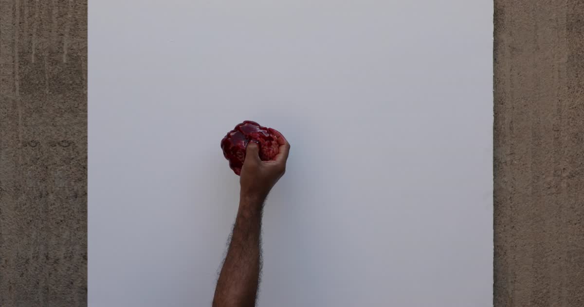 Reality With Cow Brain | Foundation