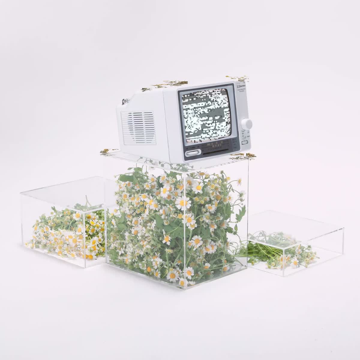 Save State | Foundation