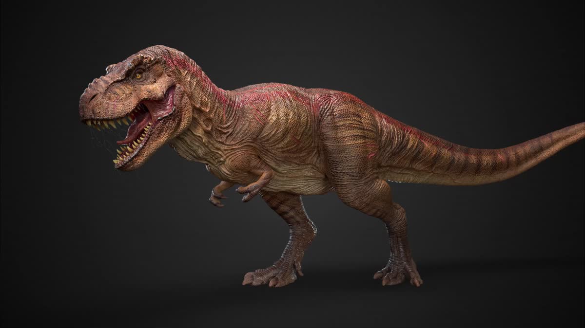 01 - TREX | Foundation