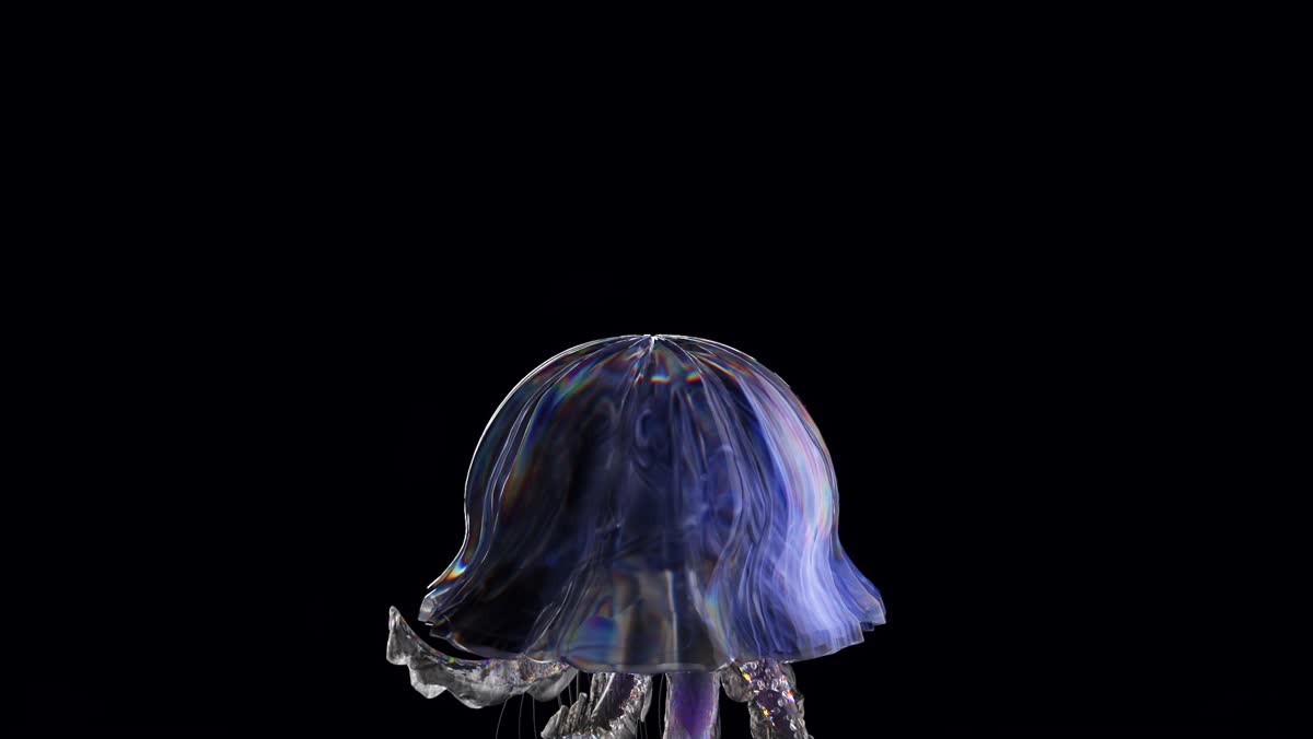 Zero Gravity | Foundation