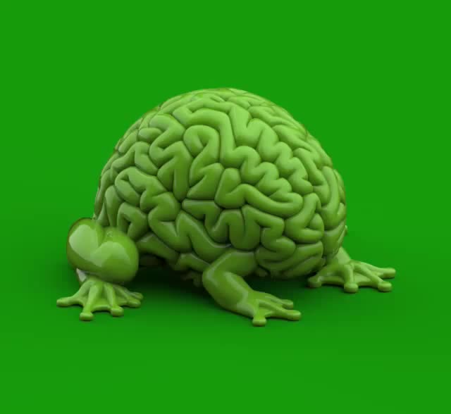 GREEN Jumping Brain | Foundation