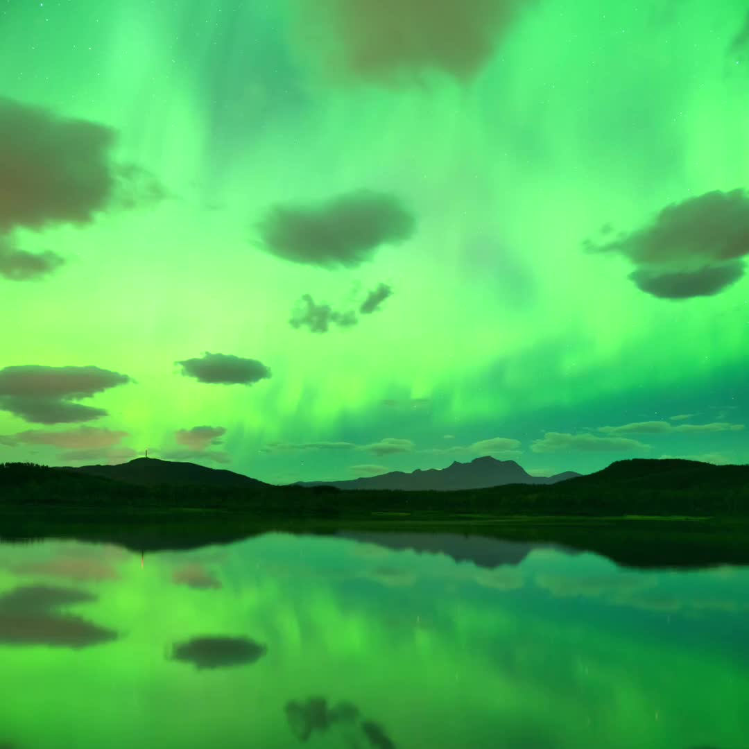 Electric Green | Foundation