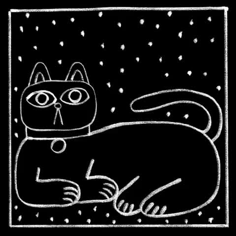 Keith Cat | Foundation