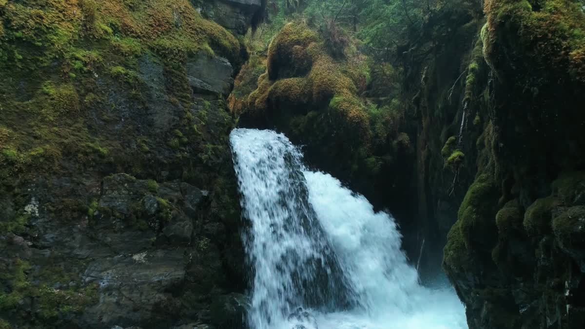 SLOW FALL | Foundation