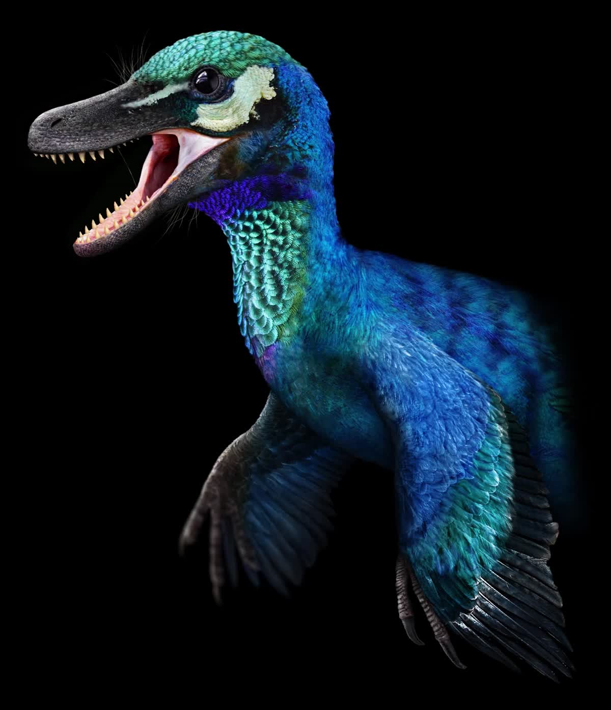 Pyroraptor | Foundation