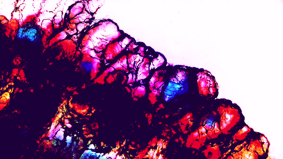 rgB #02 (Bloom) | Foundation