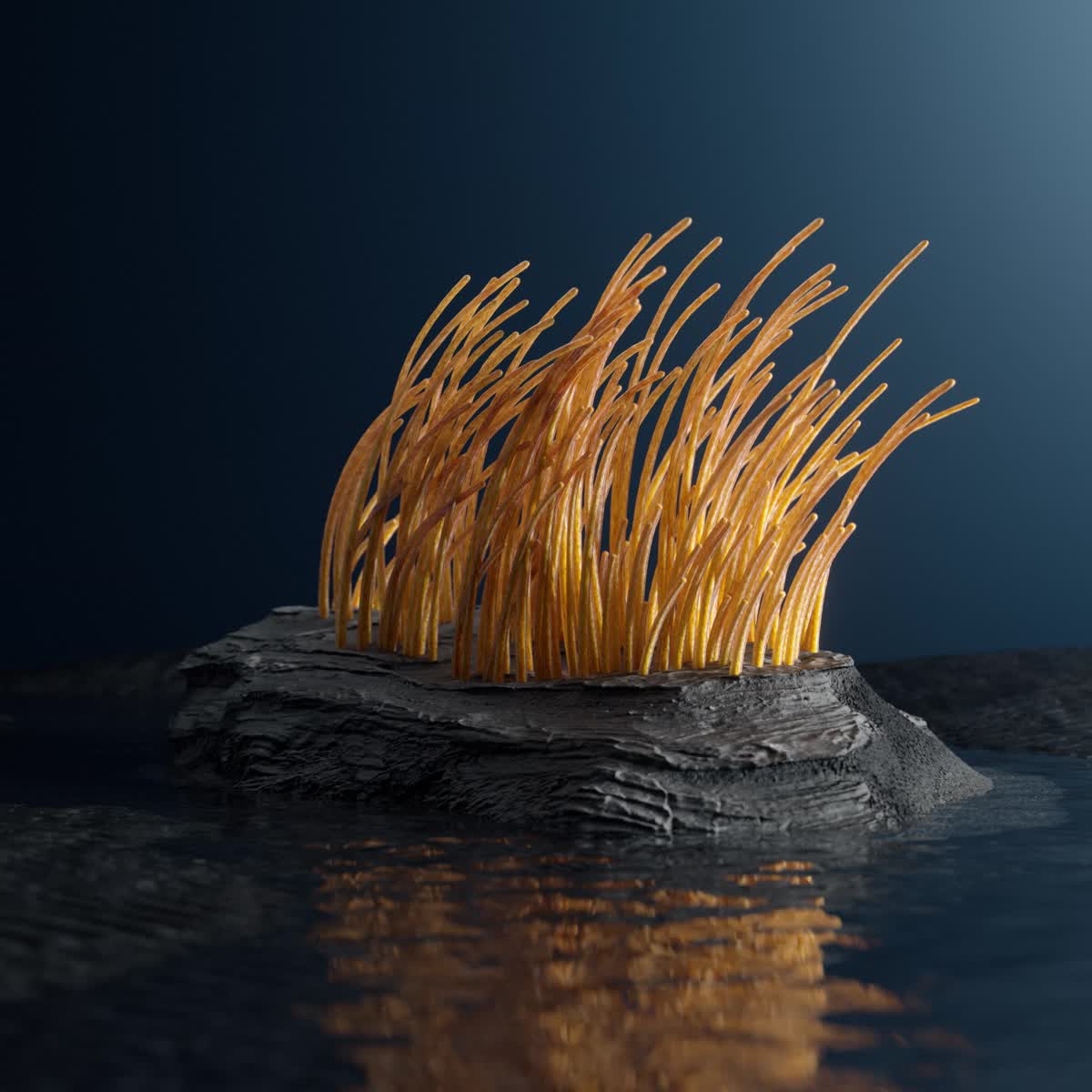 Organic Stones #1 | Foundation