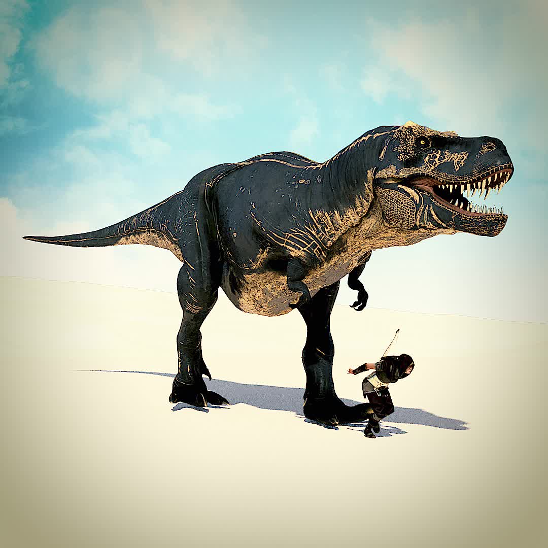 GOLD-REX | Foundation