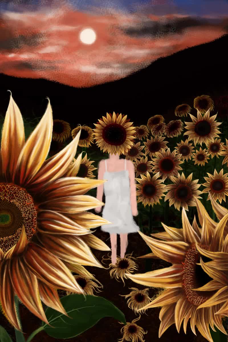 Heliotropism | Foundation