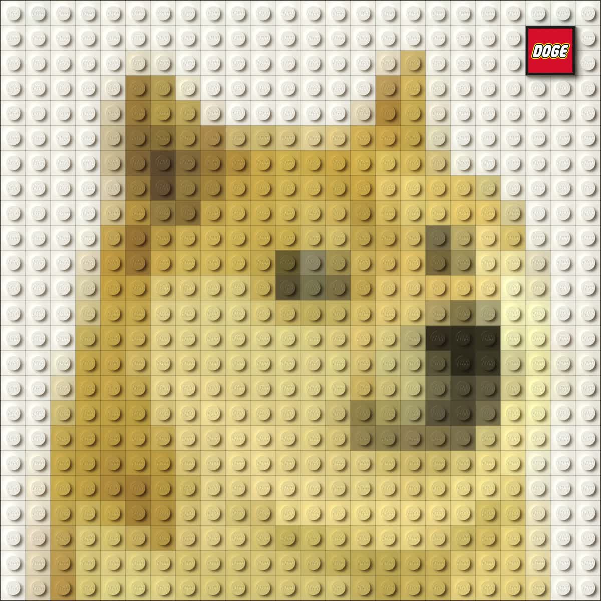 Đoge Lego | Foundation