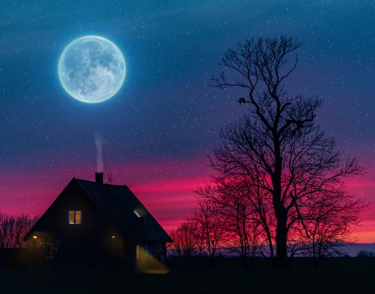 Twilight night | Foundation