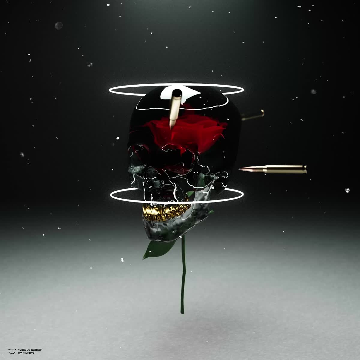 VIDA DE NARCO | Foundation