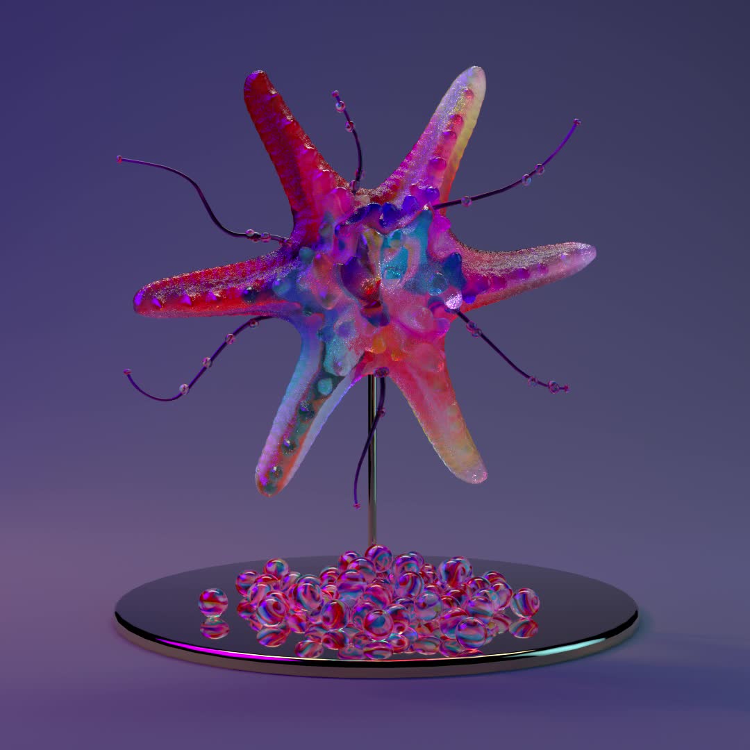 Protoreaster nodosus | Foundation