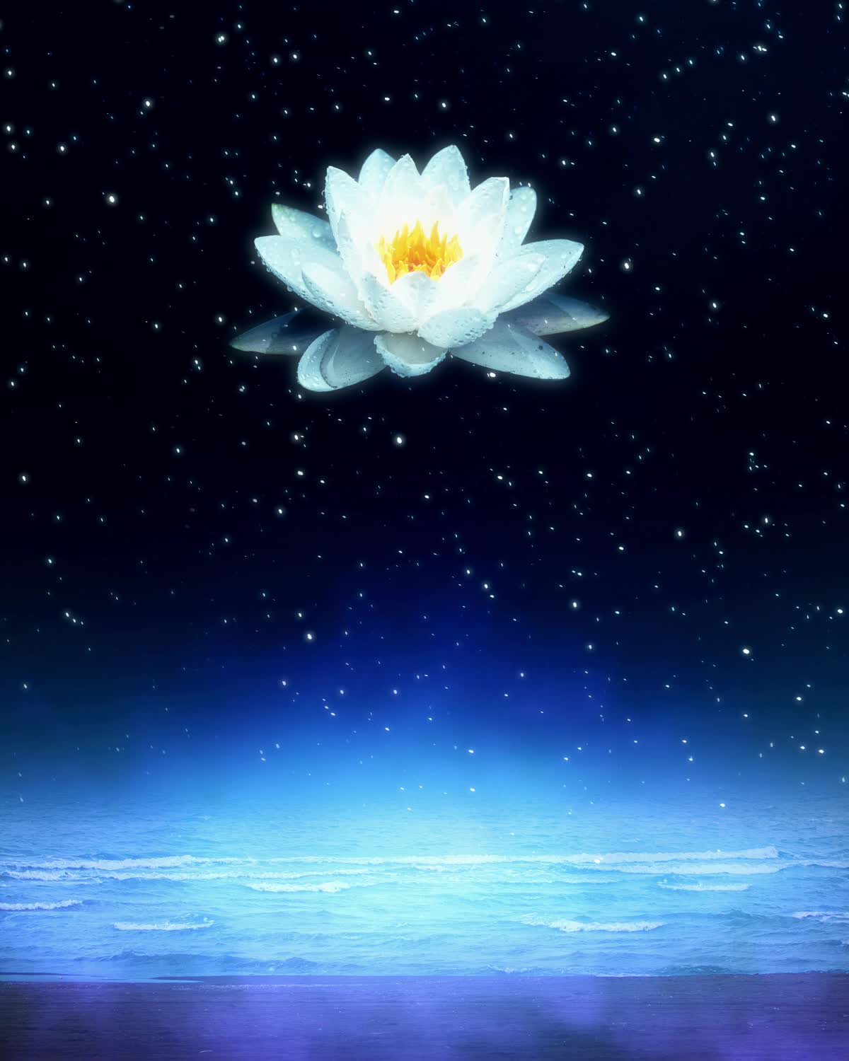 Lunar Lotus | Foundation