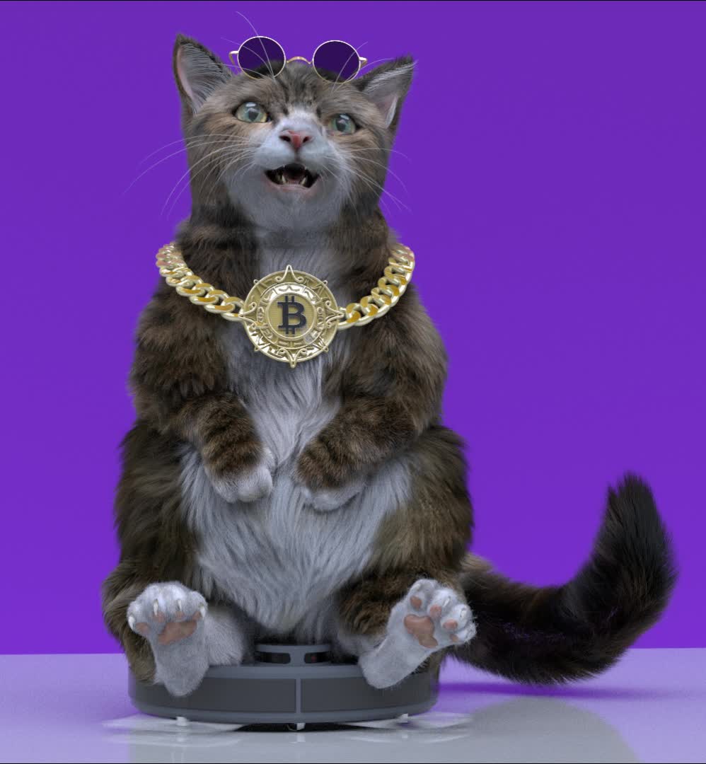 Happy Bitcoin Cat | Foundation