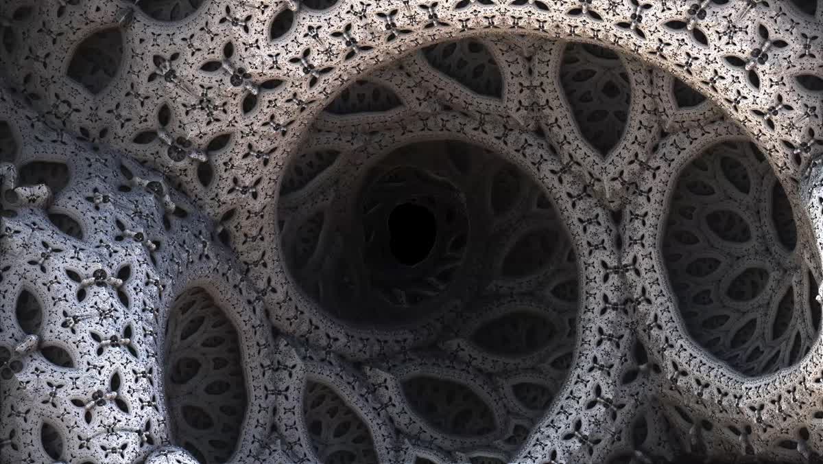 Arborescent Tunnel | Foundation