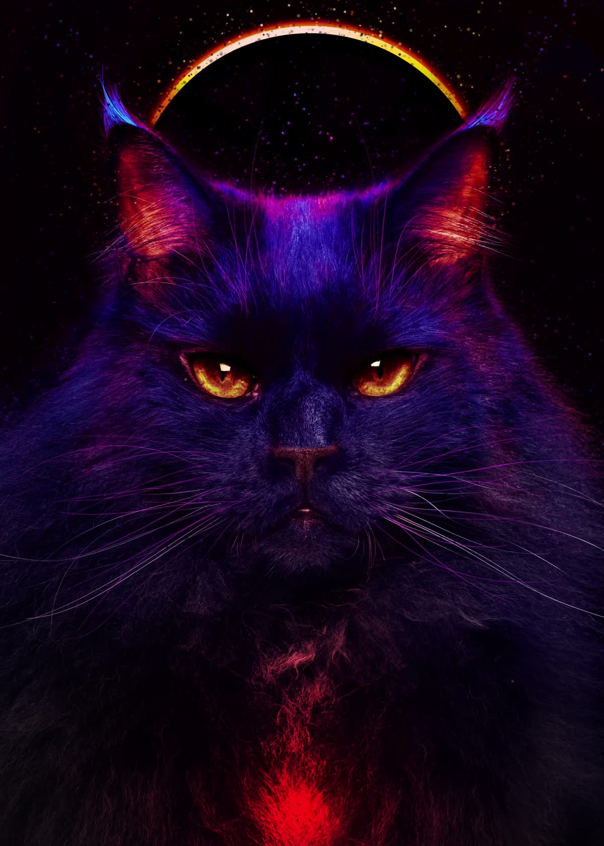Galaxy Cat Eclipse | Foundation