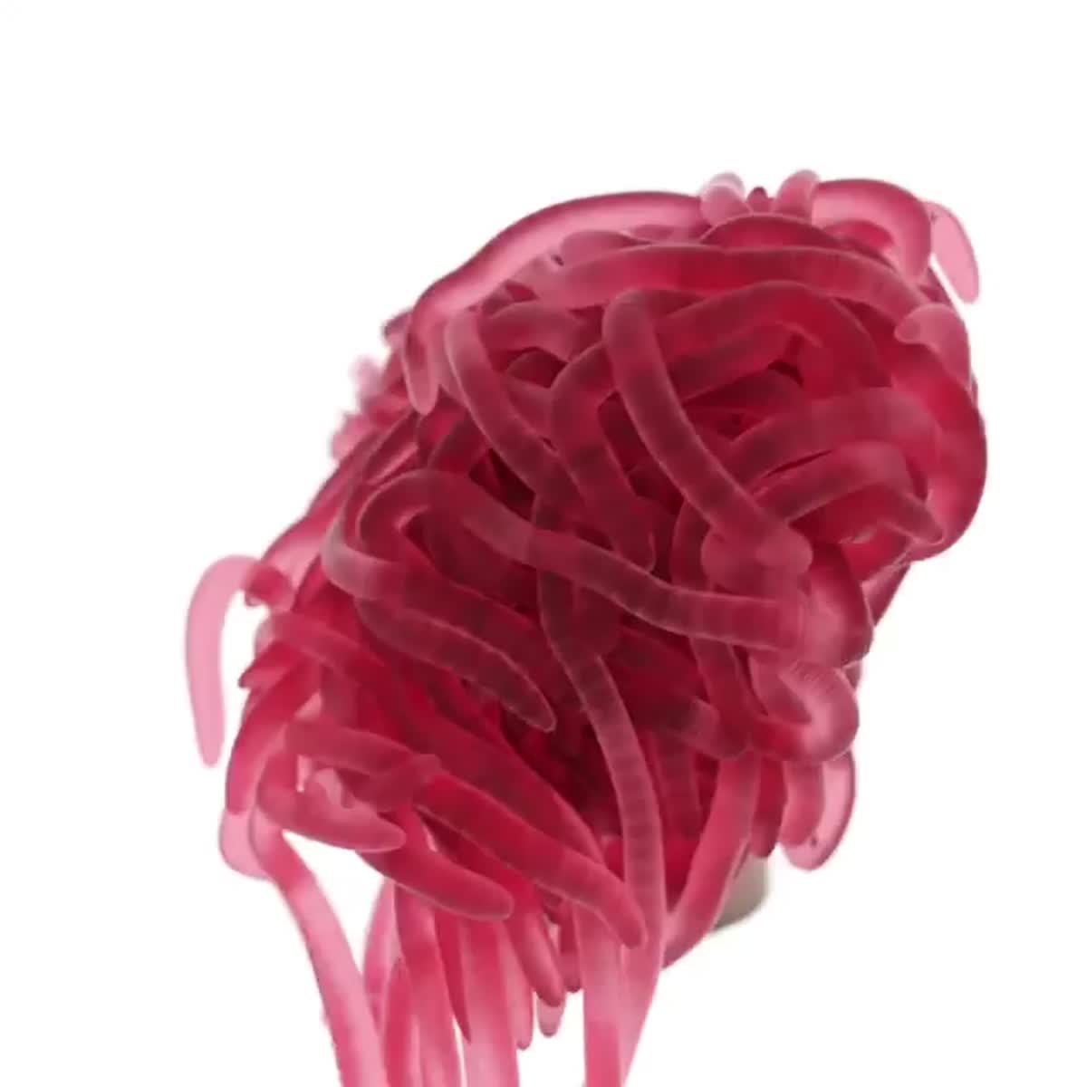 Pink Worms Loop | Foundation