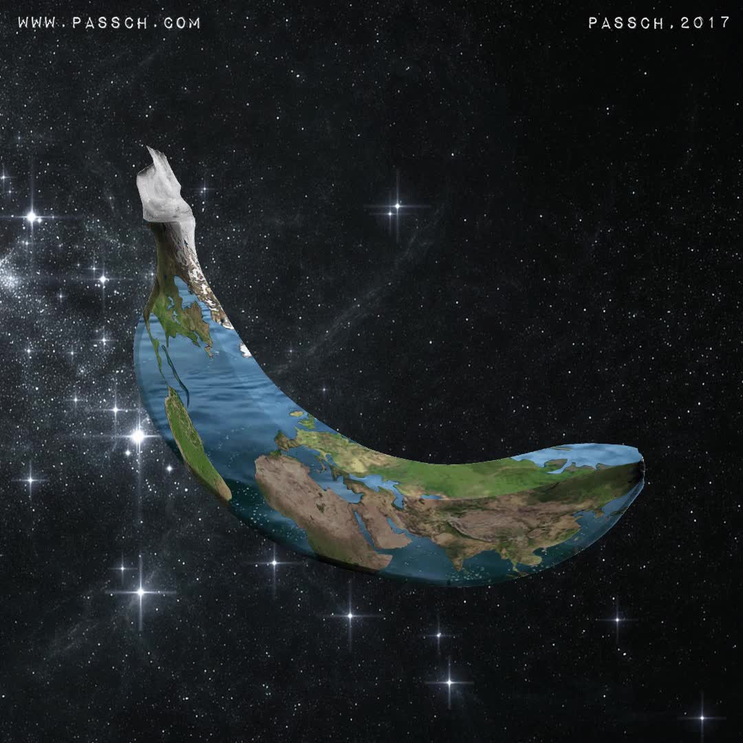 Banana Earth Society | Foundation