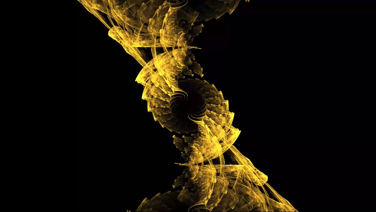 RESOLUTION | Foundation