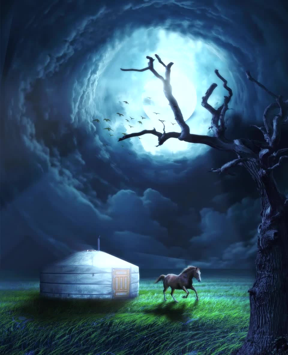 WIND OF MONGOLIAN NIGHT | Foundation