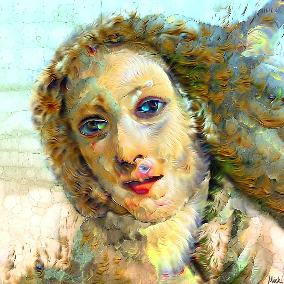 The Mirth of Venus | Foundation